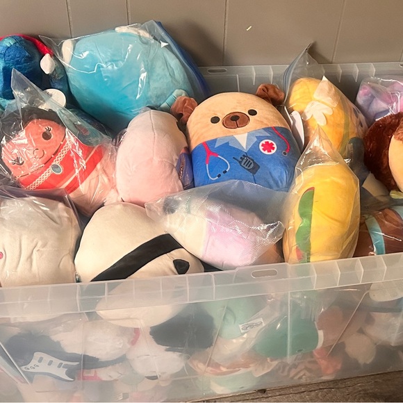 Squishmallows LOT 2for25 | Toys | Lot Two For 25 New With Name Tags And ...